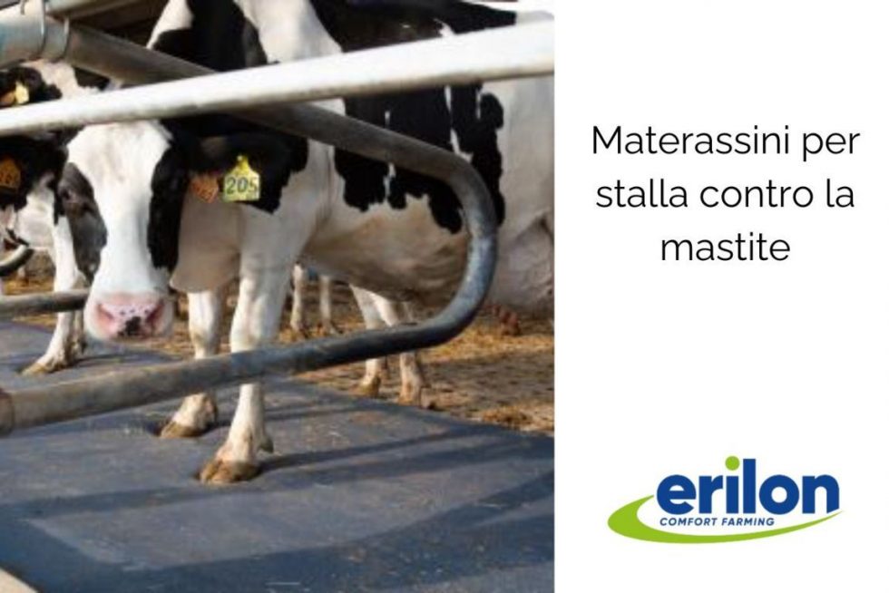 Materassini contro la mastite: il brevetto di Erilon